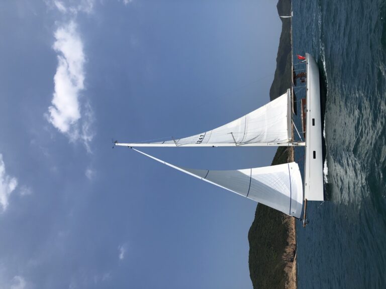 Pelagic | The Boater